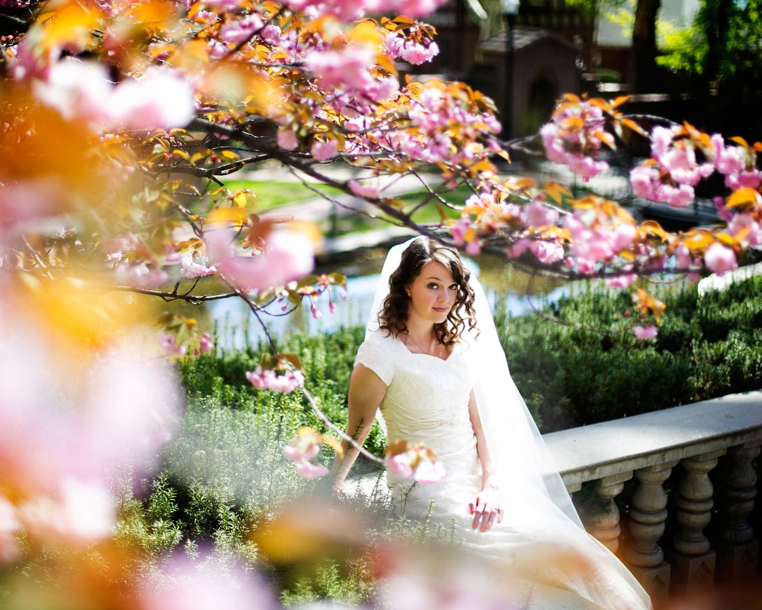 Gallery B - Scott Hart Media