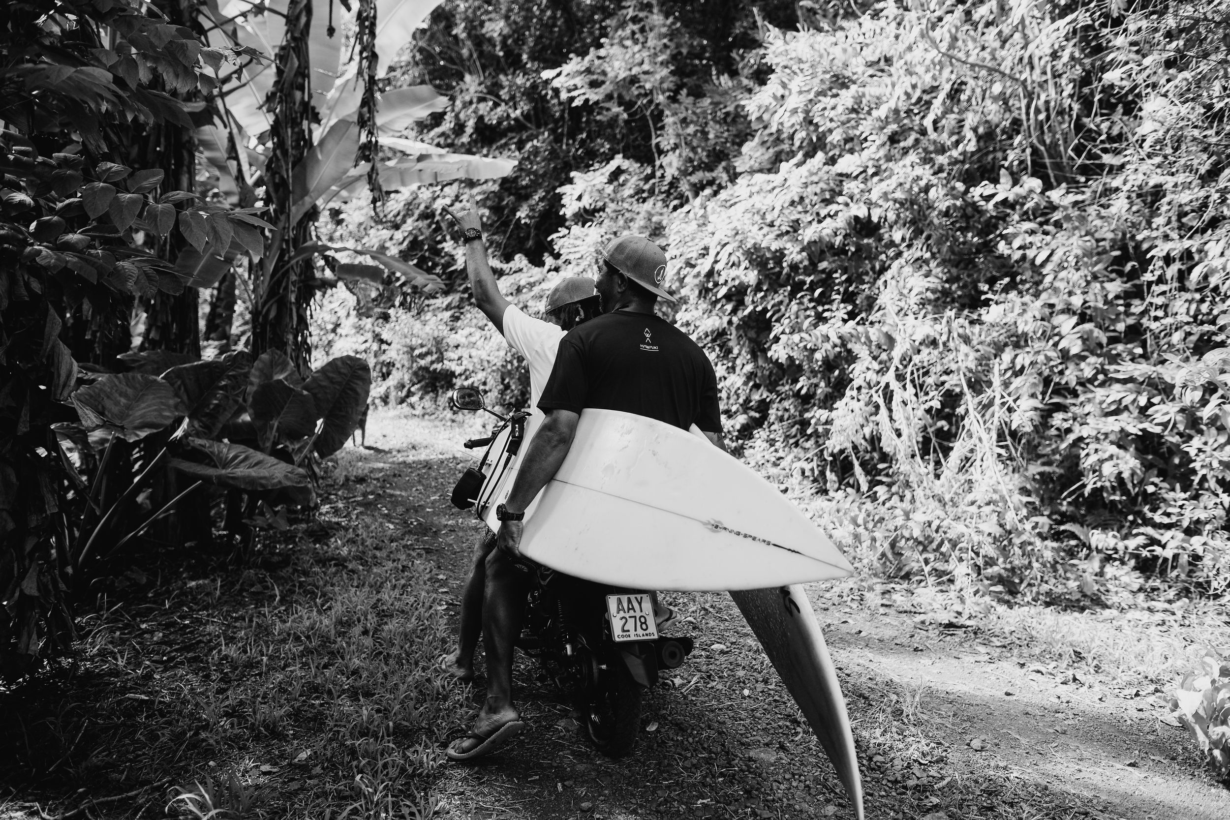 Go Local Cook Islands | Rarotonga's Best Turtle Tour