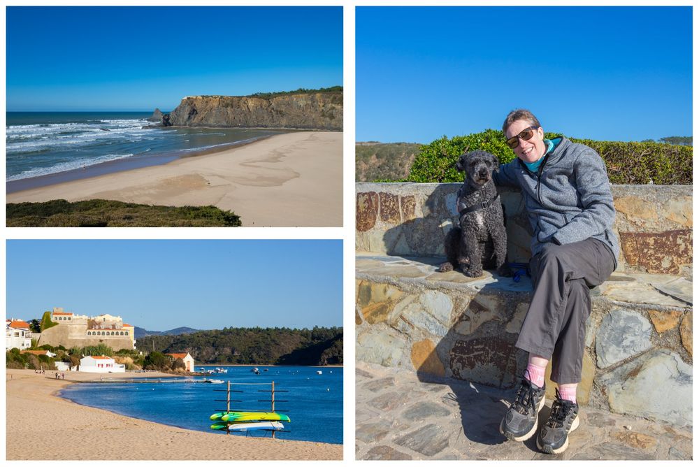 About - Alyson Sheldrake