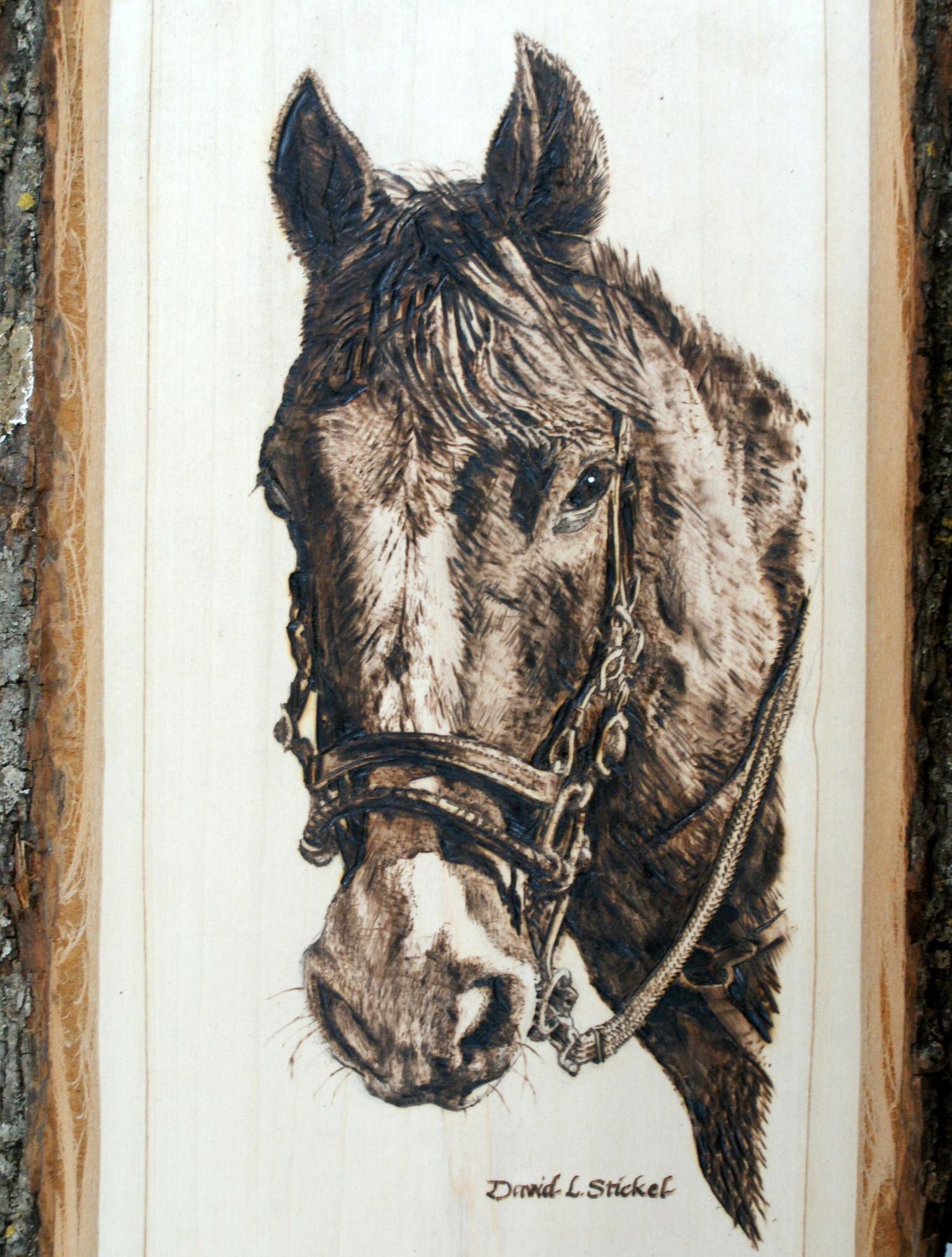 Woodburning - David L. Stickel