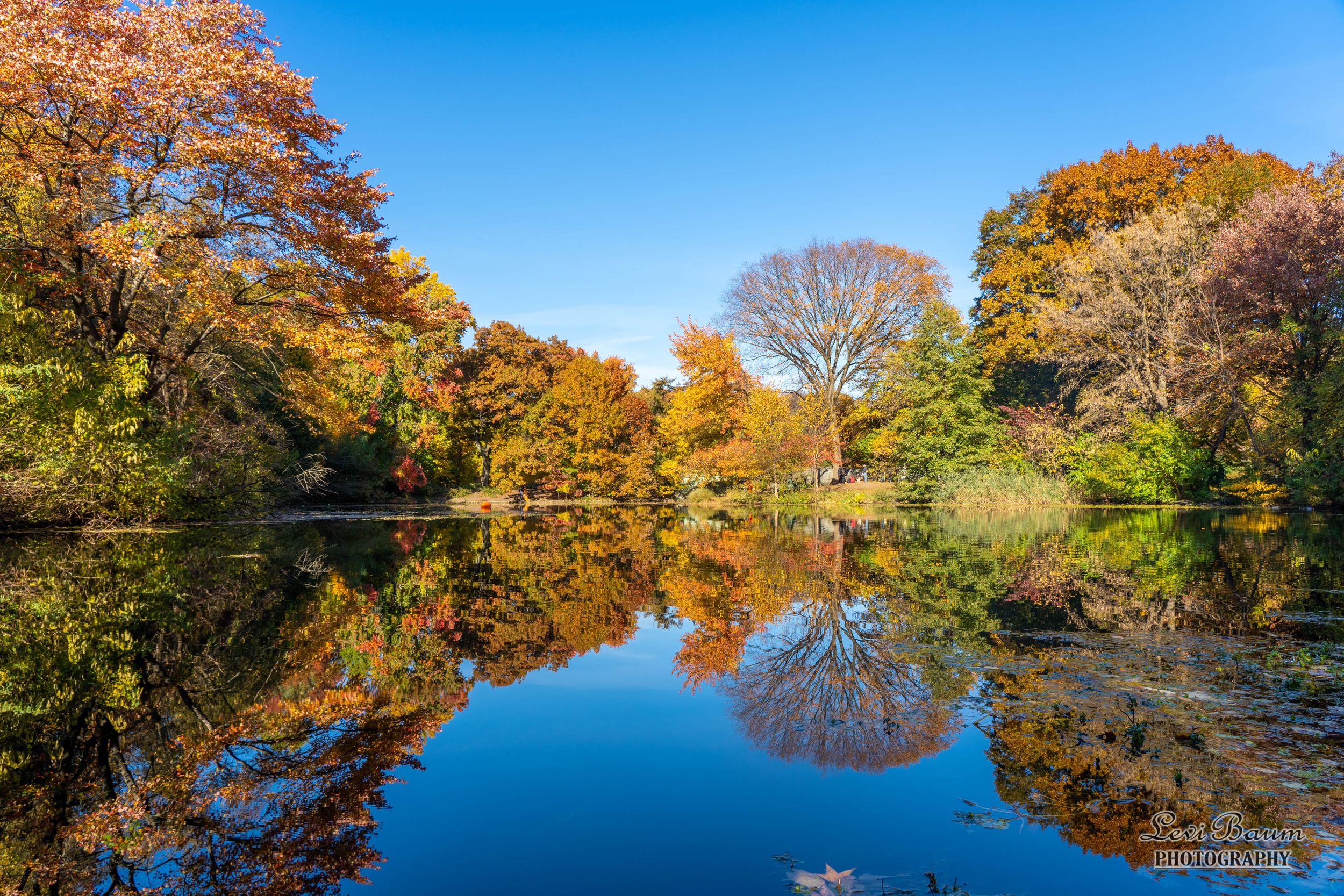 Portfolio - Levi Baum Photography