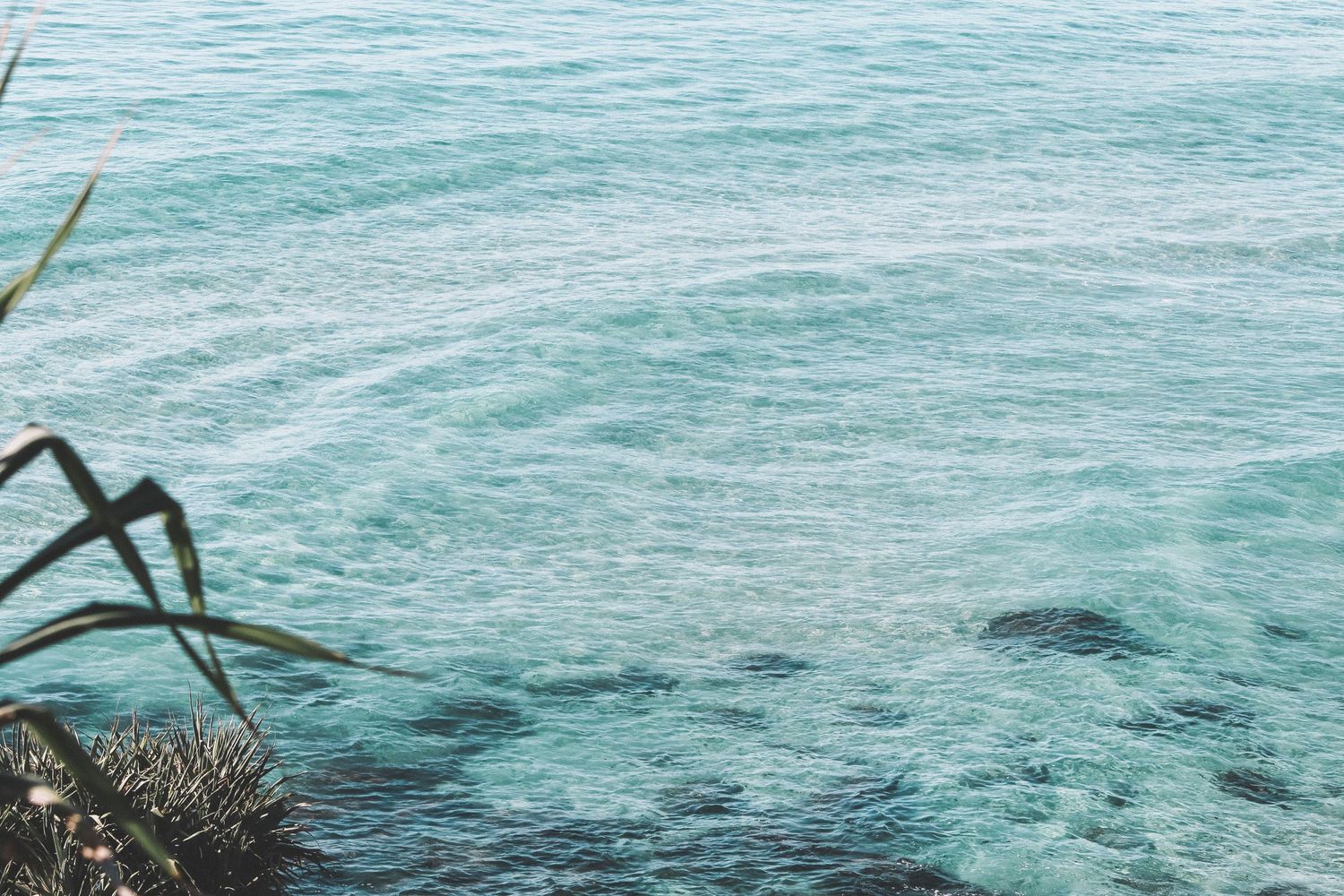 Contact Upstream Minds