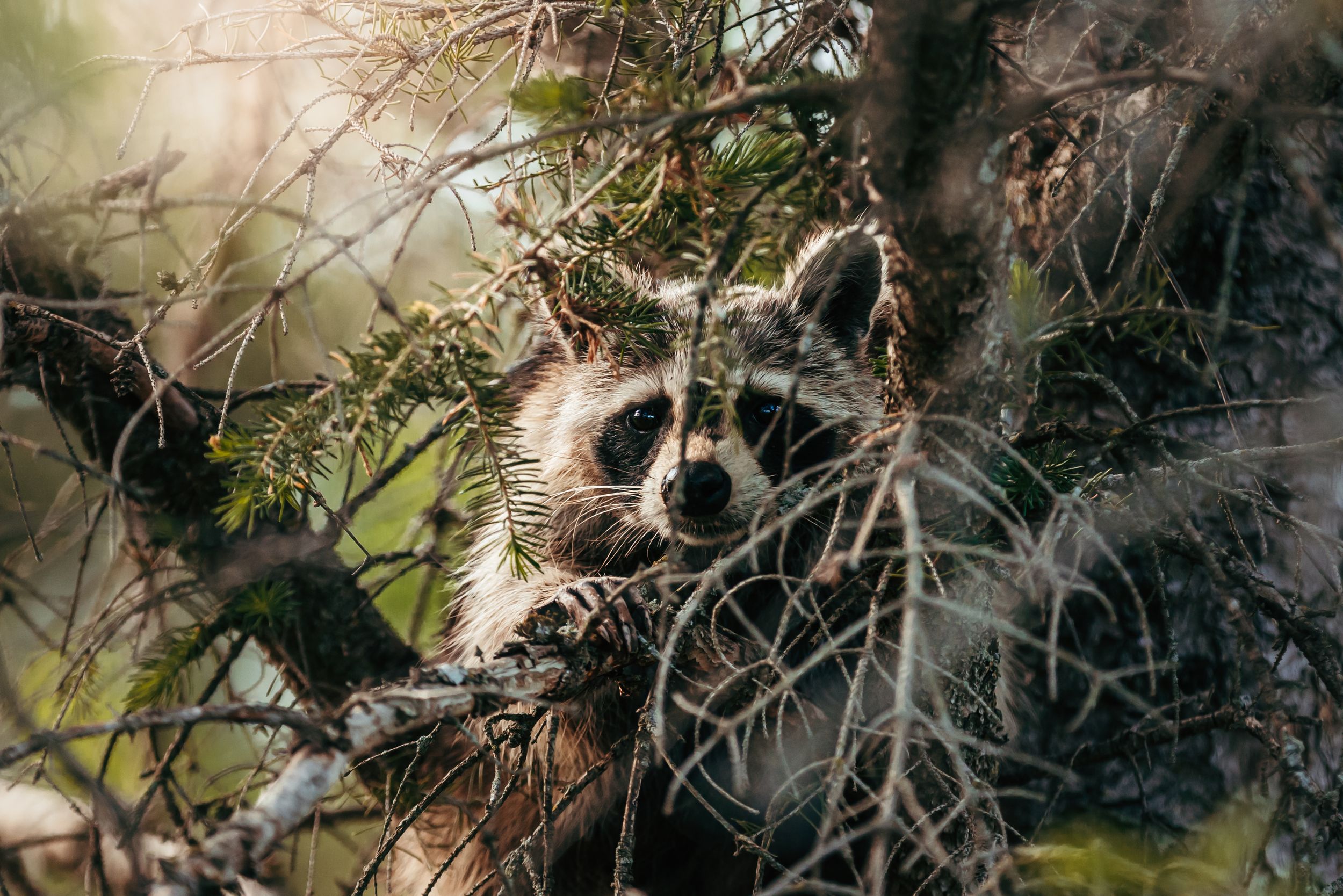 Portfolio - Jena Lynn Photography