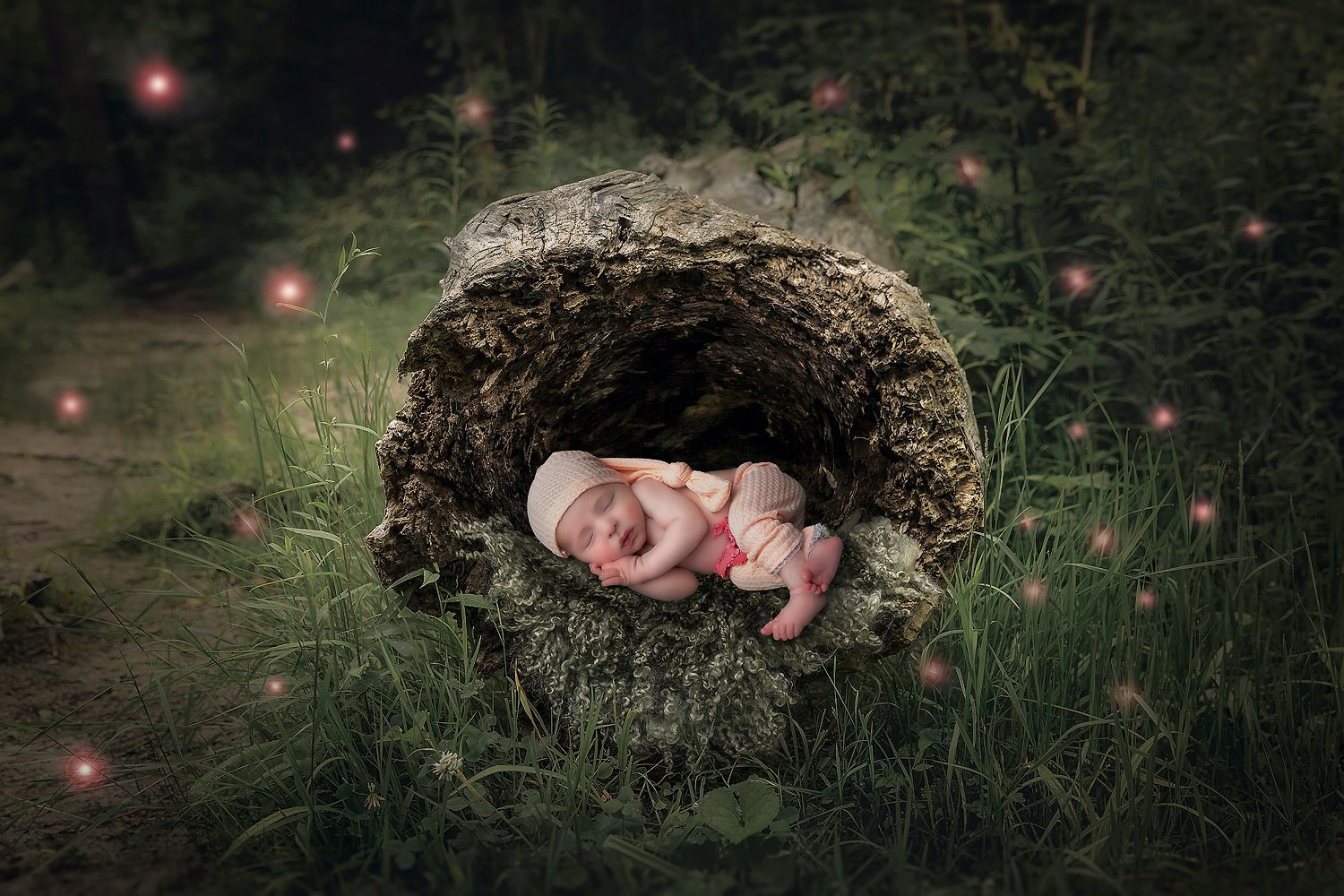 Catherine Whitney Photography