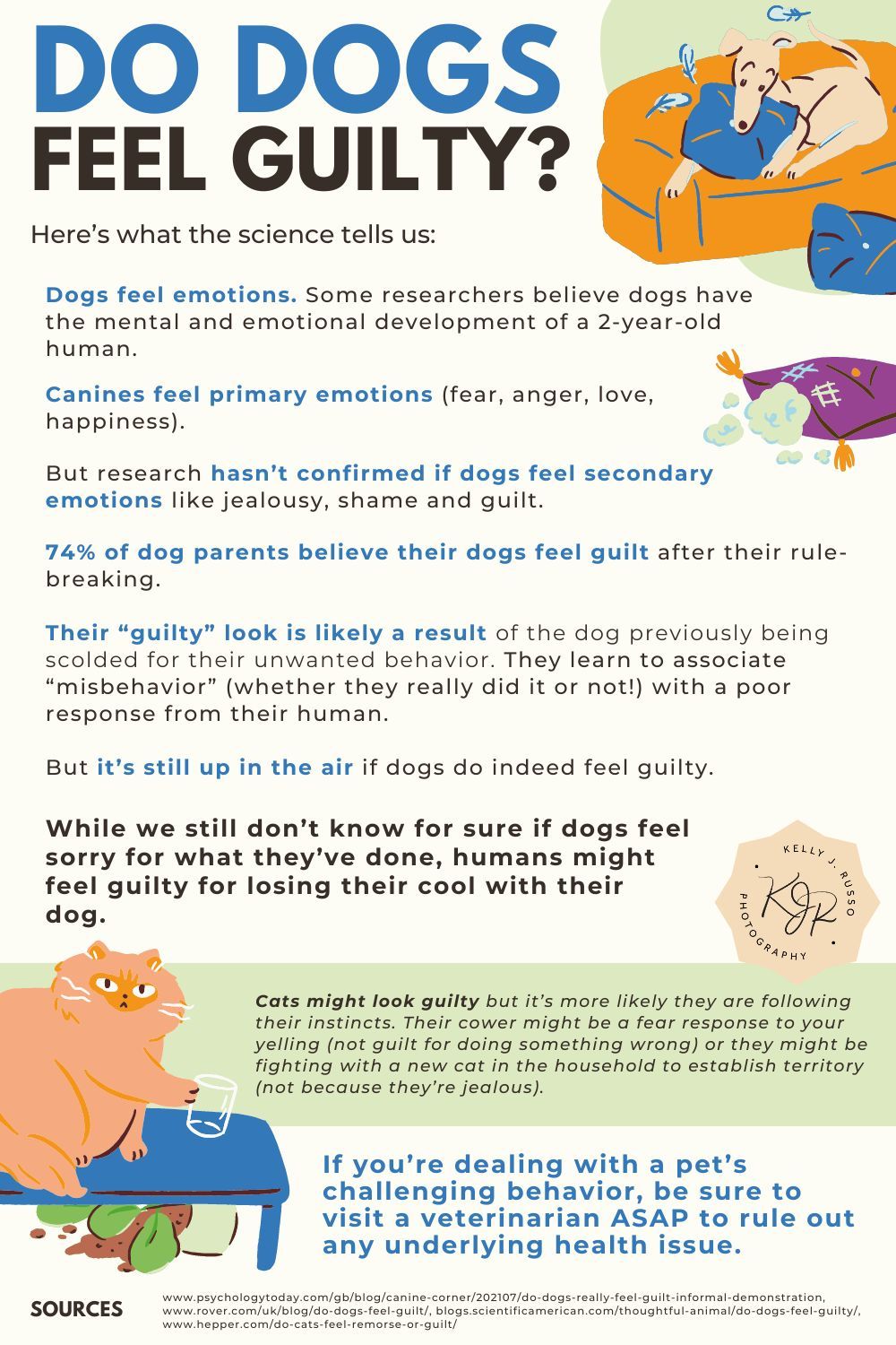 Do Dogs Feel Guilty? - Kelly J. Russo Photography | Houston Pet ...