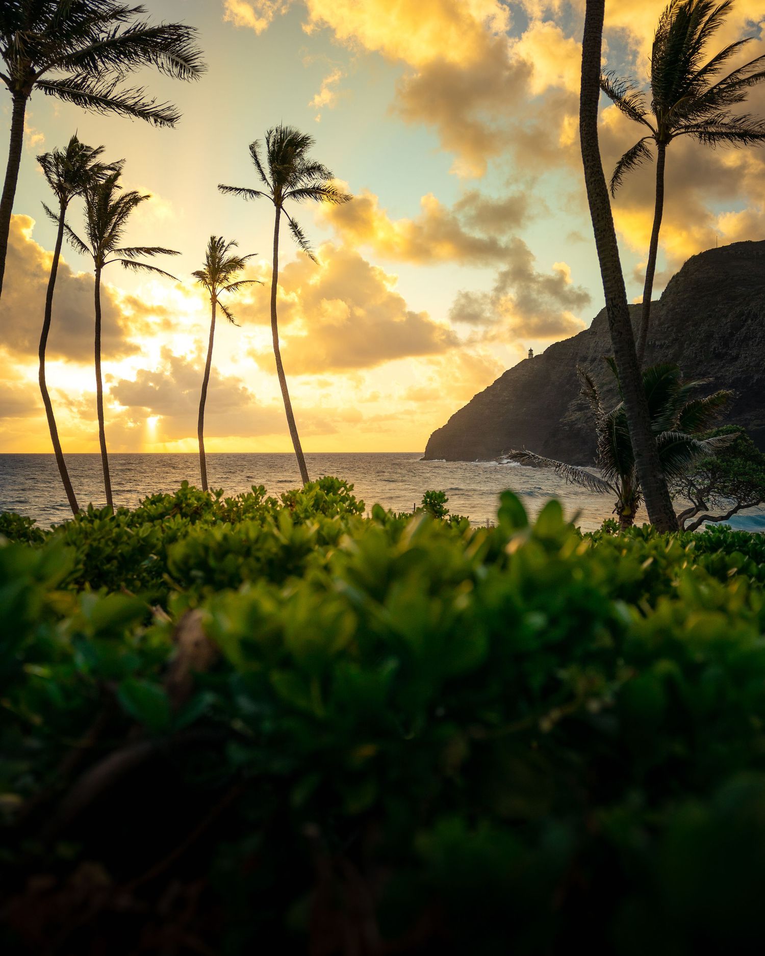 Landscapes - Cassidy Franco