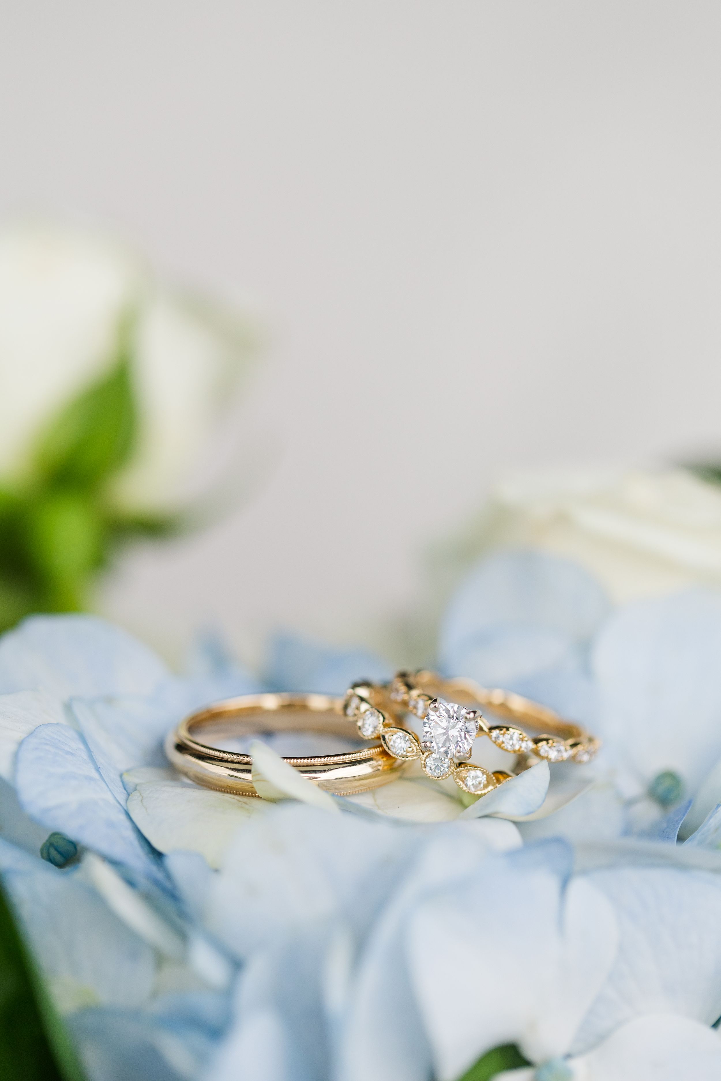 MEGAN + JAMES - Chelsea Z Photography