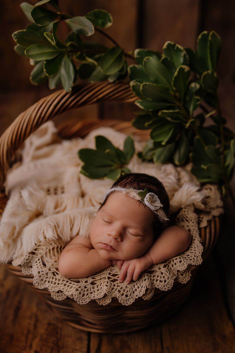 Willow Rae Photography