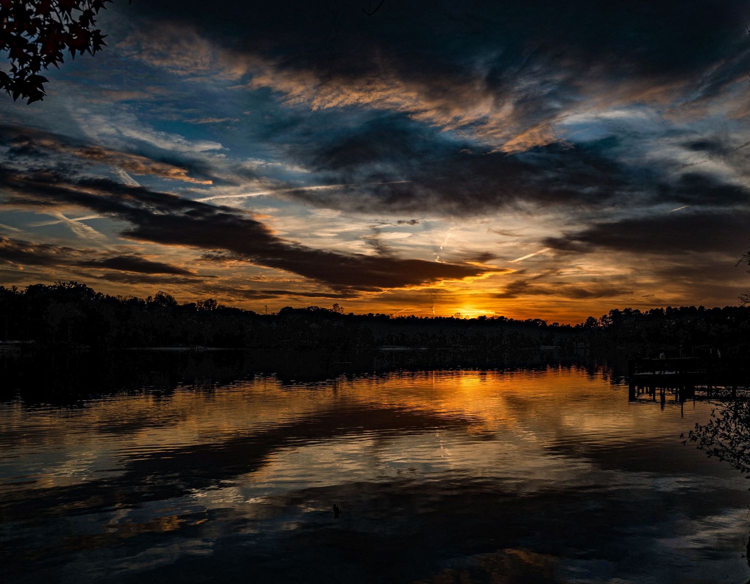 Portfolio - 51 photography