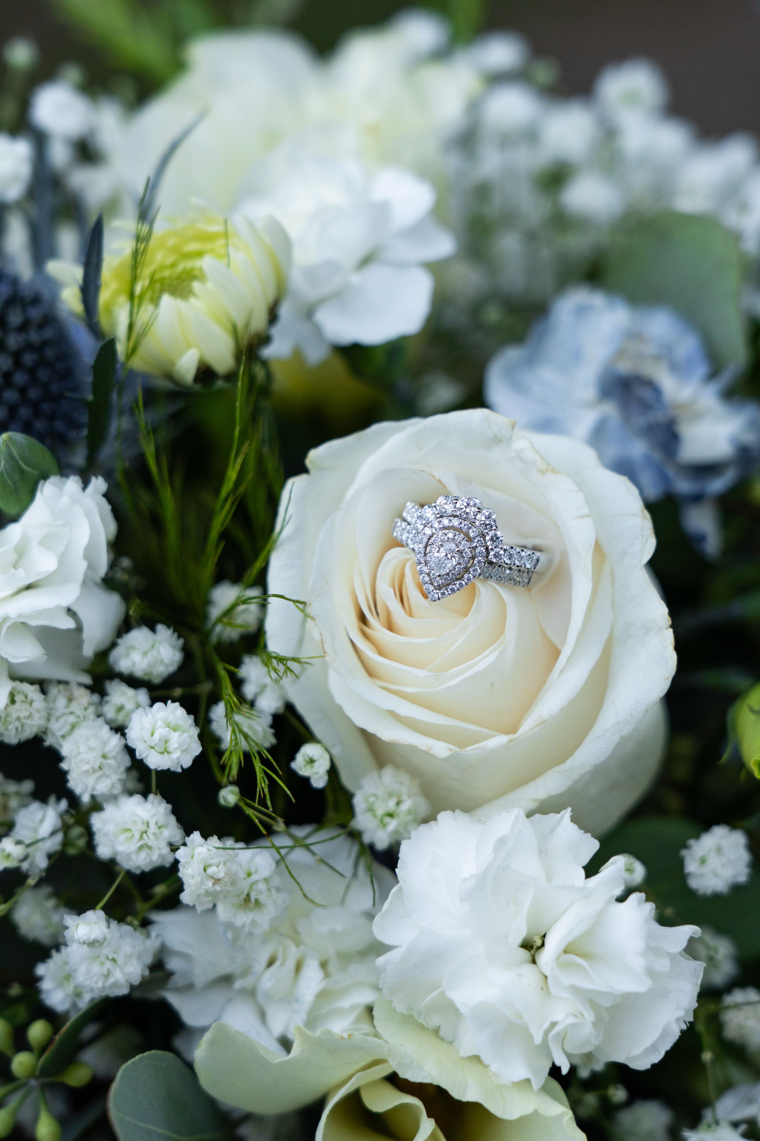 Jonathan Dixon Photography