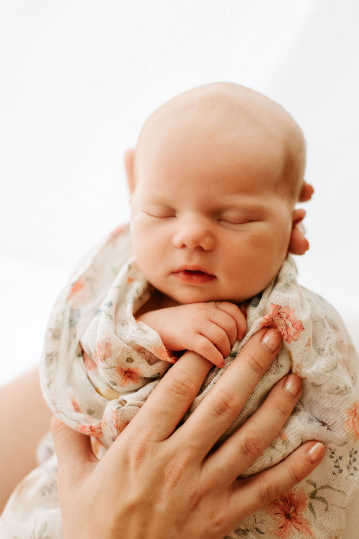 Prices - Shari Mae Photography