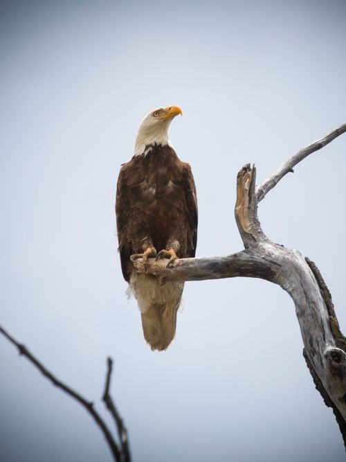 Sharon Potts Photography