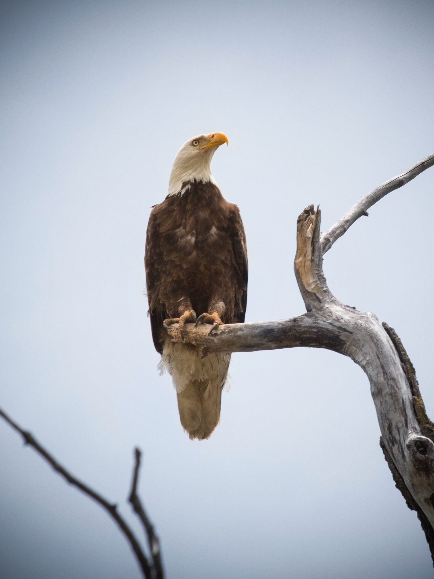 Sharon Potts Photography