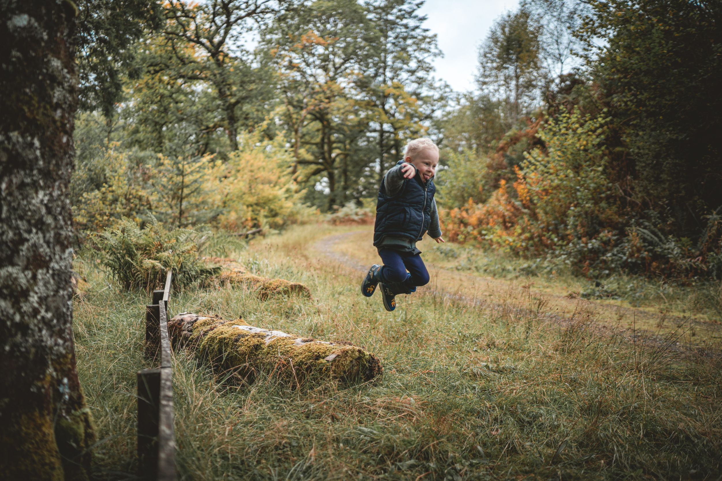 Foraging & Natural Education - The Grizzly Forager: The Definitive ...