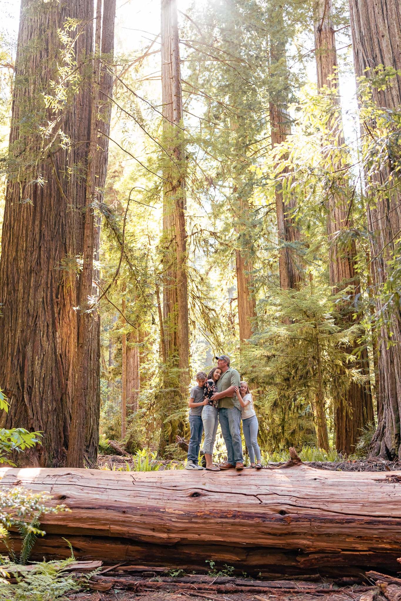 California Redwoods Family Session - Taylor Carpenter Photography