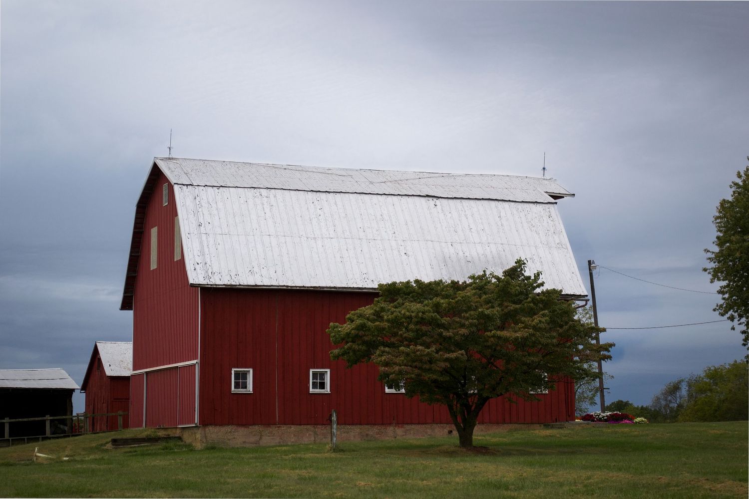 Red Barn Photography