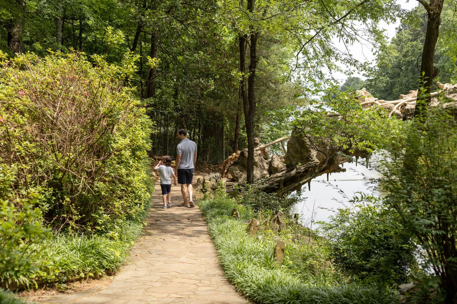 NY to CA Road Trip - Little Rock | Denver Family Photographer