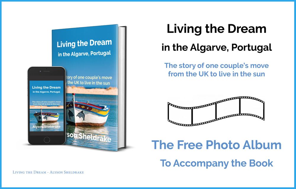 Living the Dream - Alyson Sheldrake