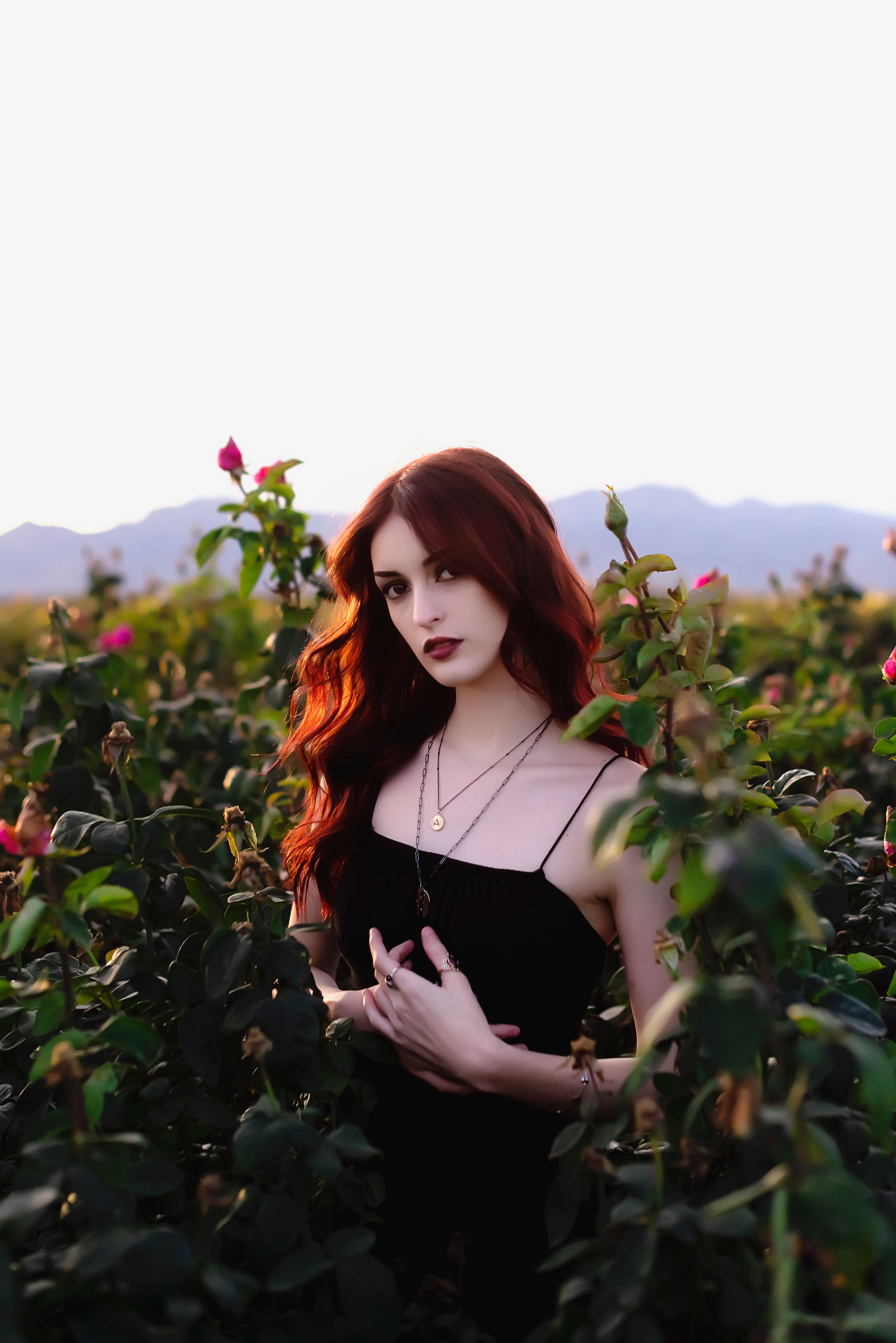 Artful Soul Photography