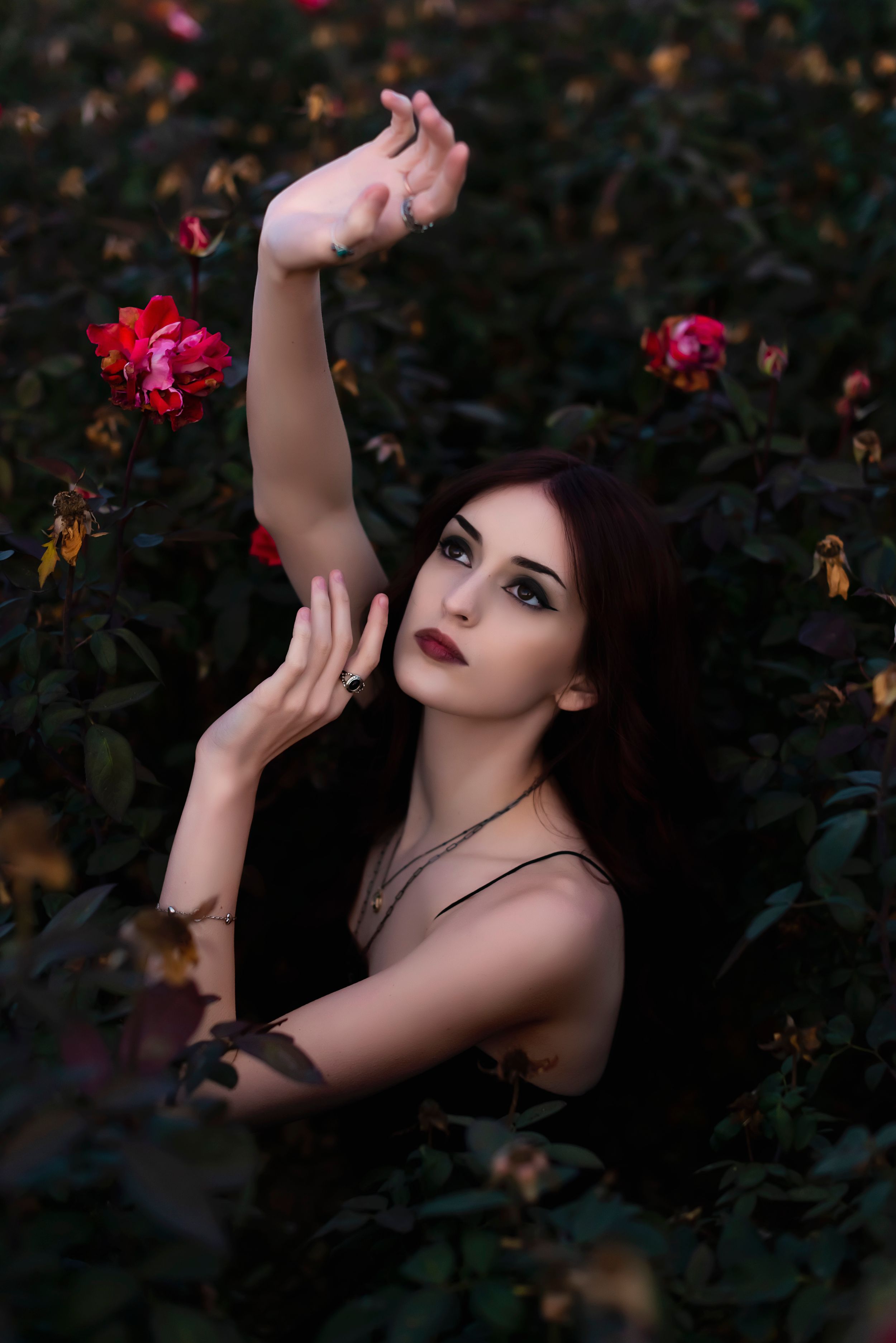 Artful Soul Photography