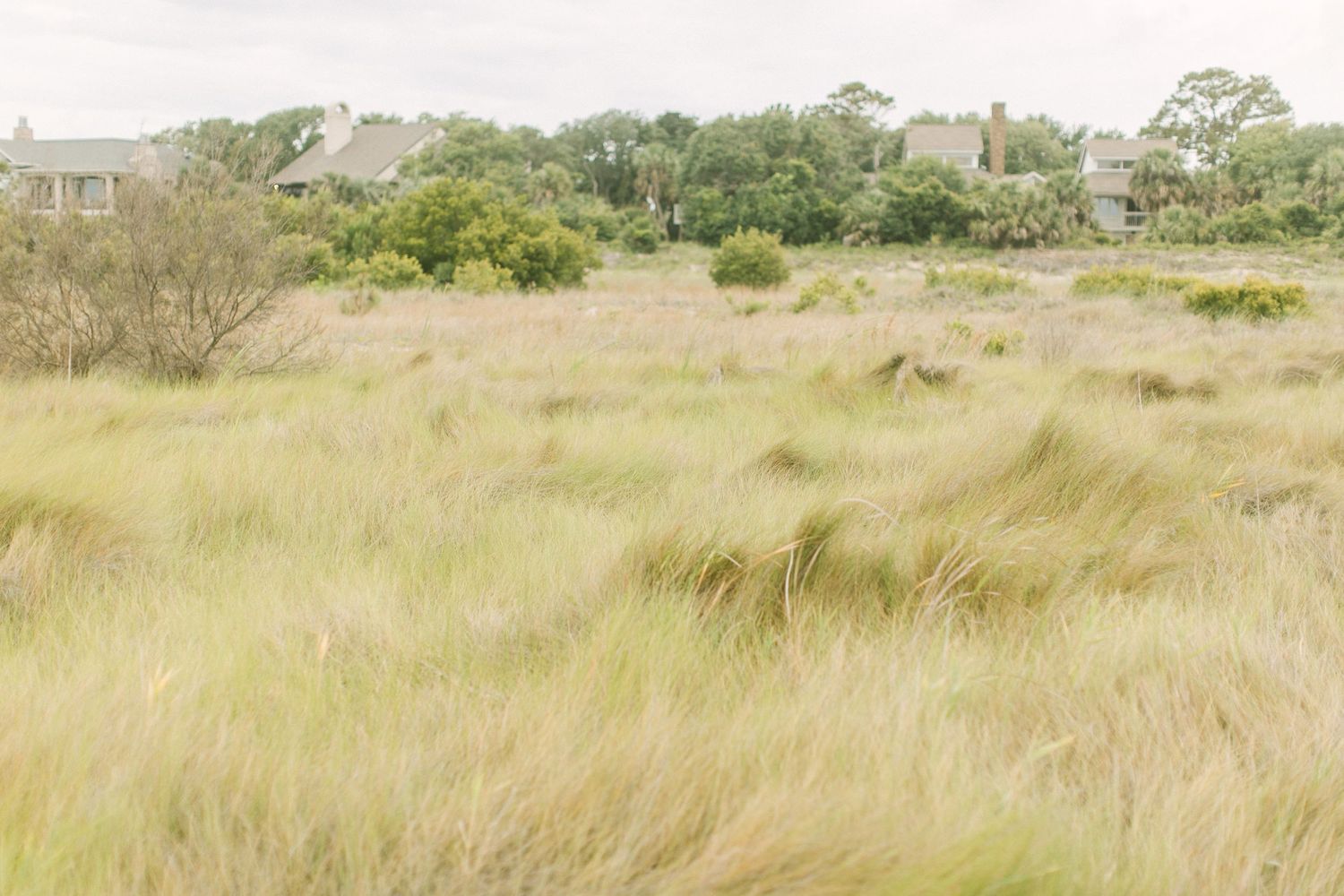 Contact - Heather Cahoon Photography