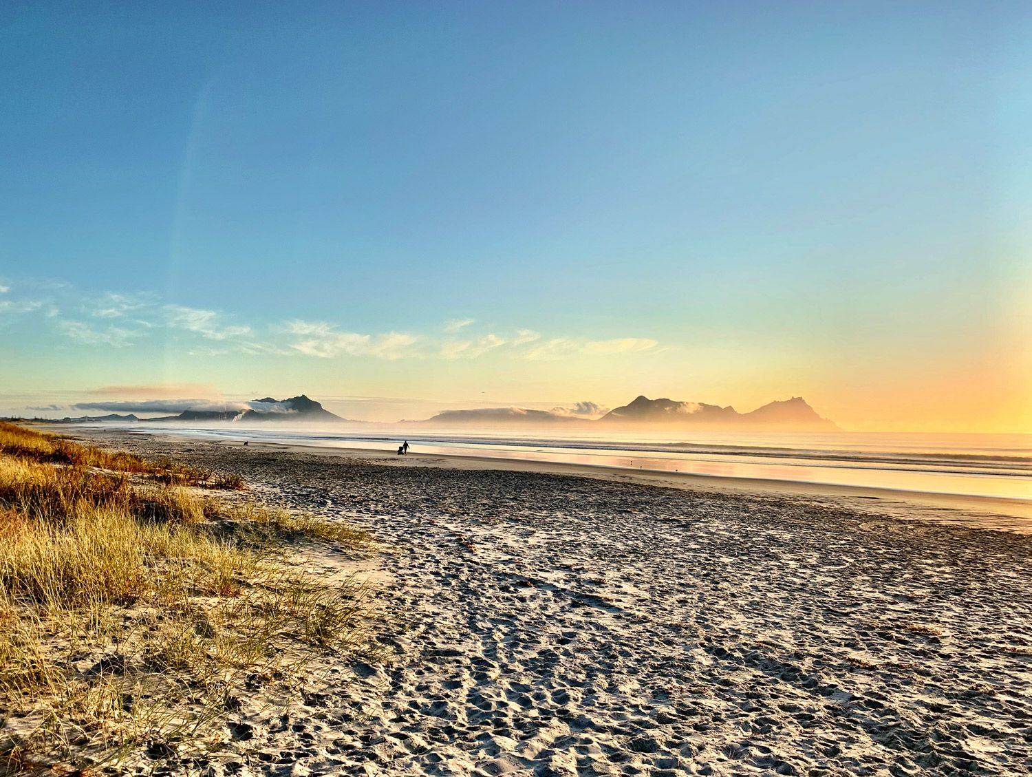 Ruakaka Gallery - Sarah Warrington Photographer