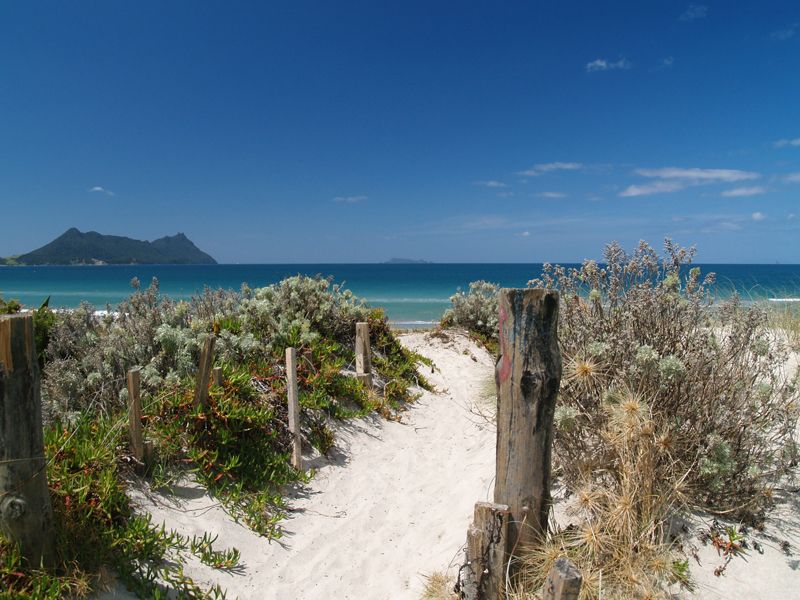 Ruakaka Gallery - Sarah Warrington Photographer