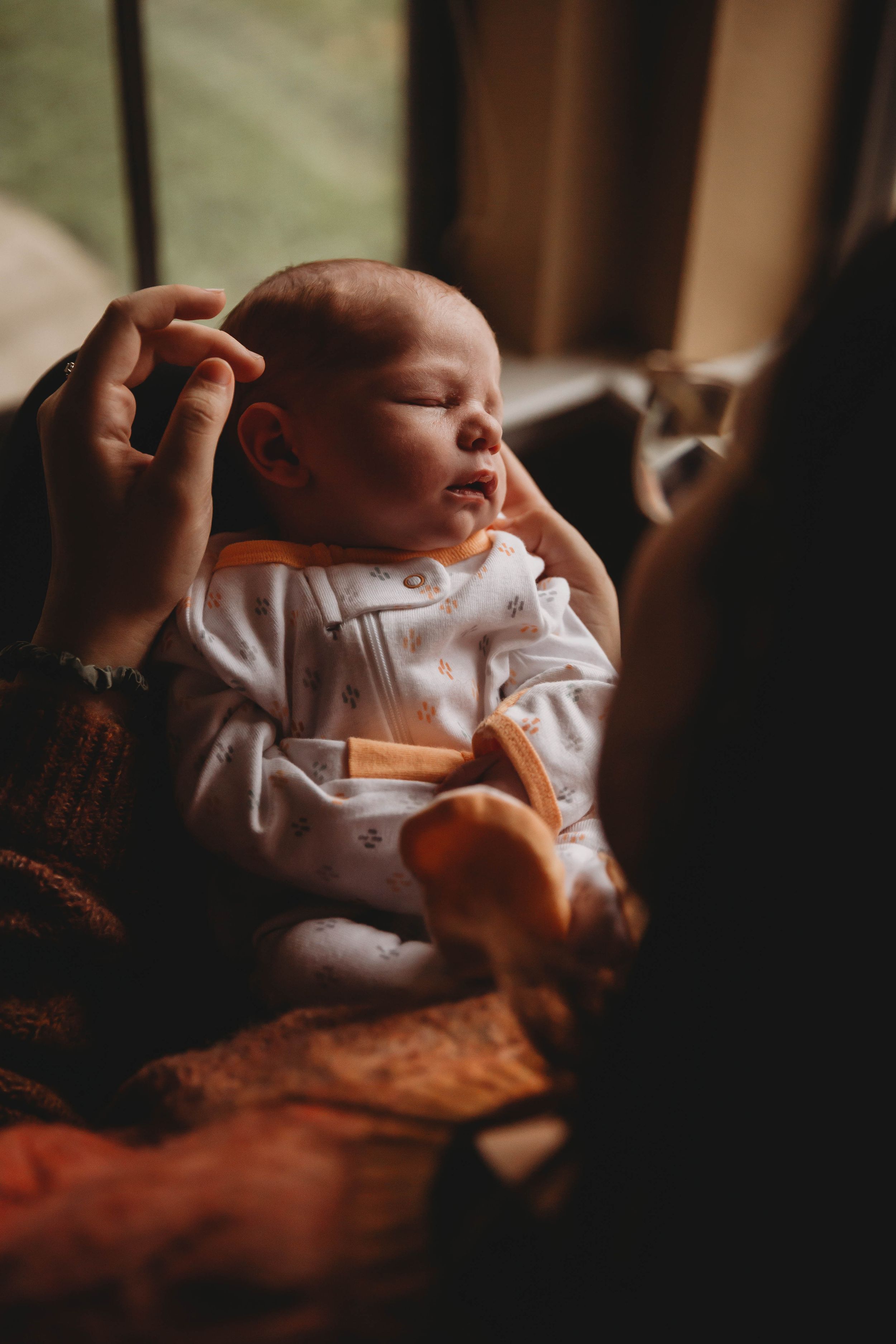 Heidi Sears Photography