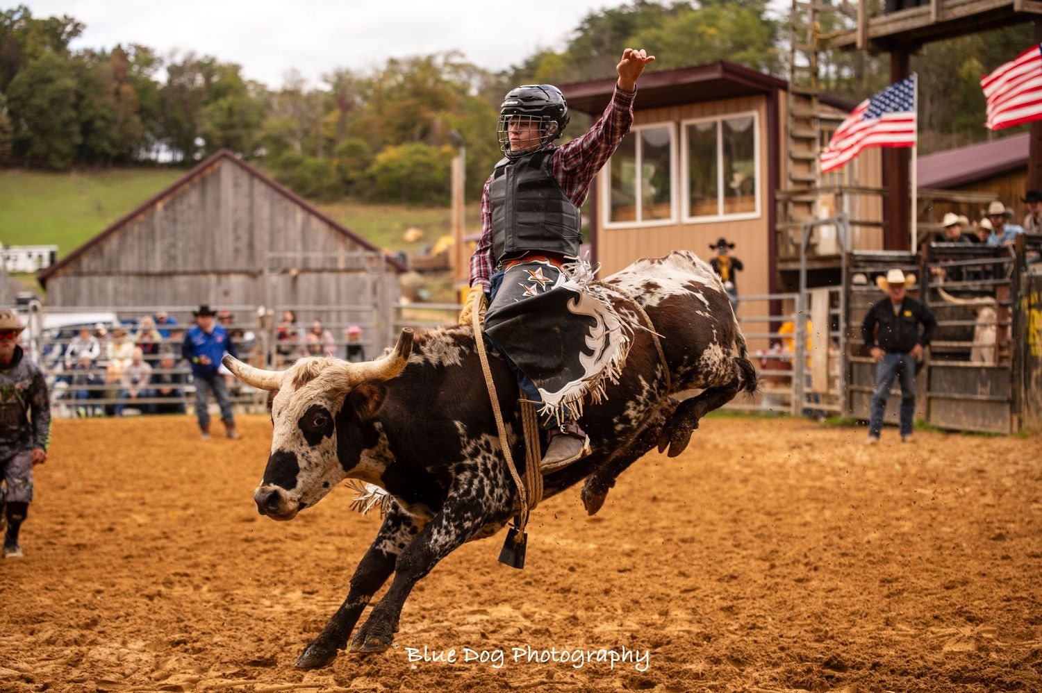 Blue Dog Photography