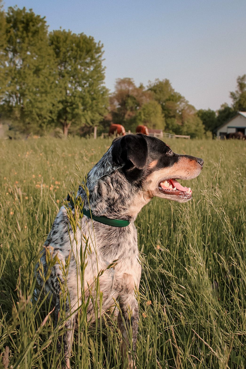 Investment - lindsay zedreck photography
