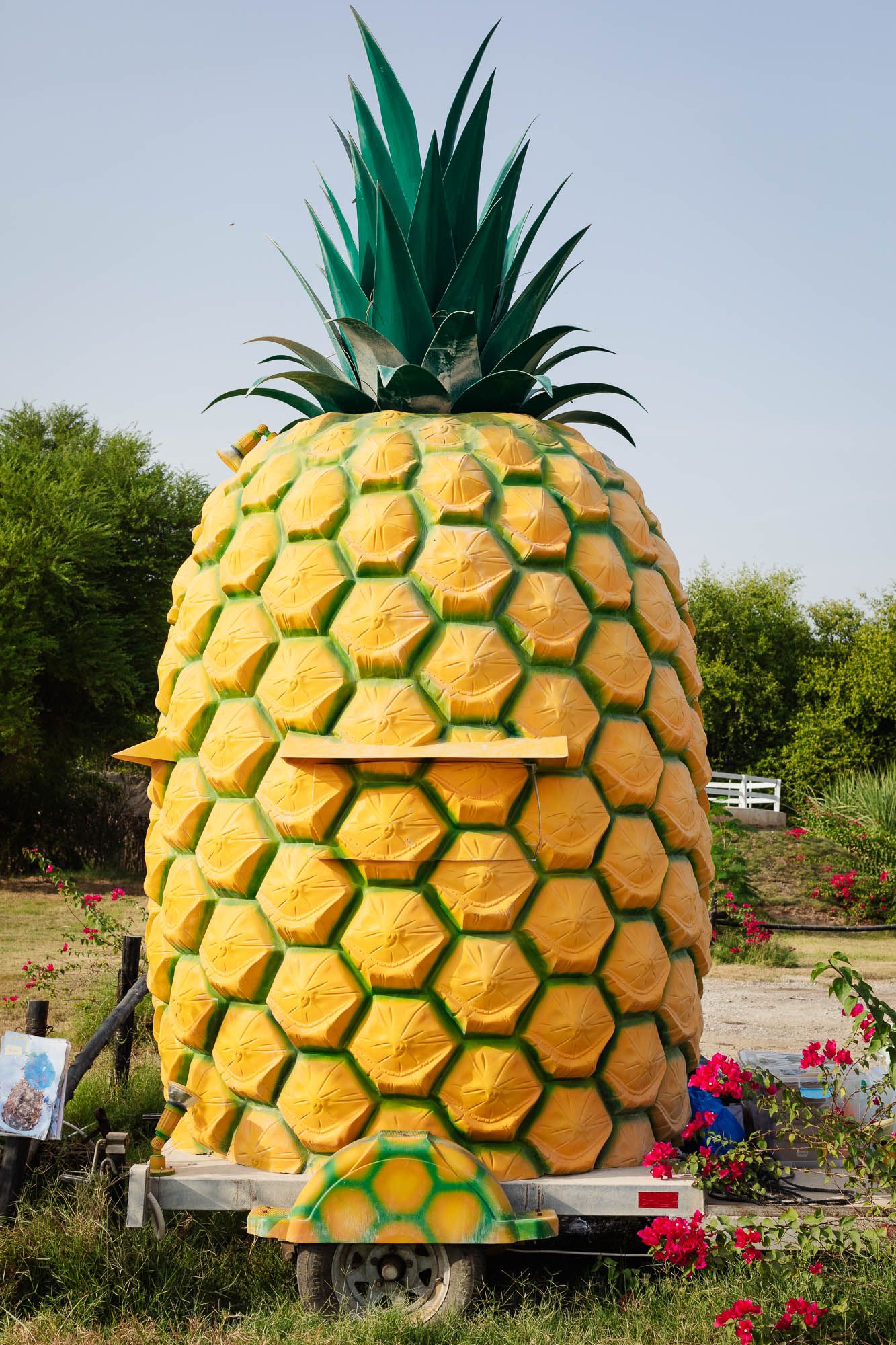 Out & About in Qatar - north sedra farm - Karen Dexter Photography