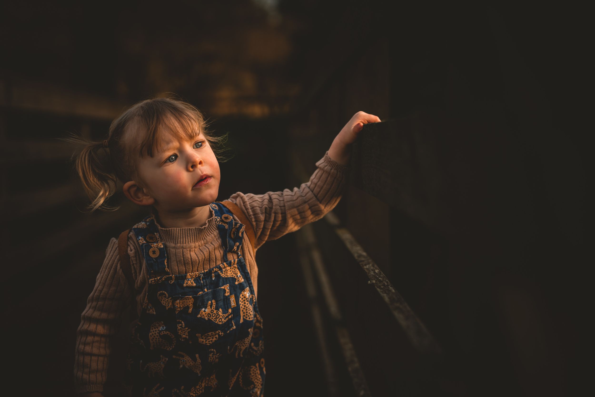 Introducing: Photography Tips Blog Series - The Grizzly Forager: The ...