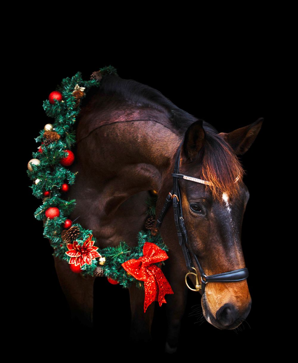 BLACK BACKGROUND SESSION GUIDE - Tara Kaine Photography