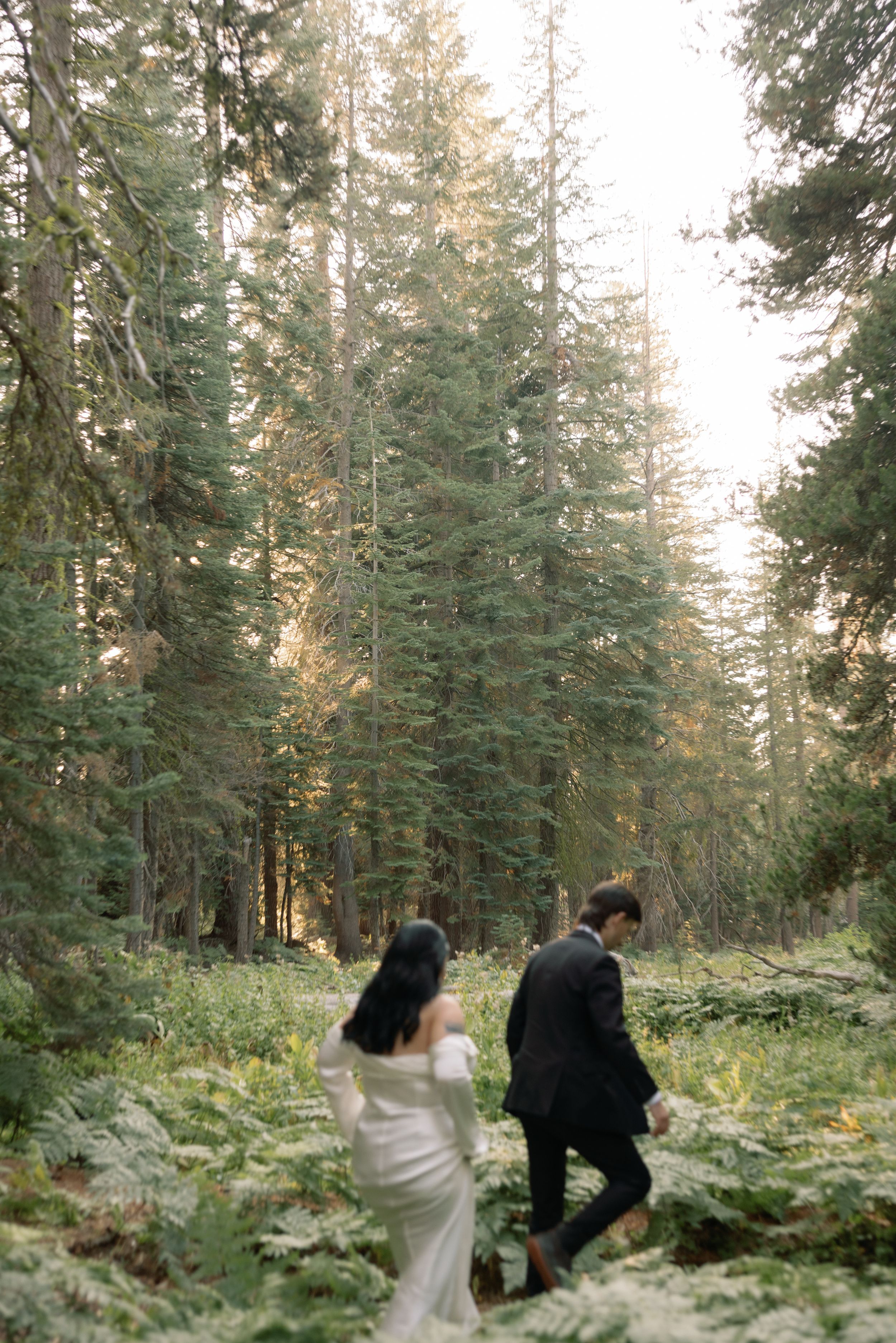 How to Elope in Yosemite | Yosemite Elopement Photographer