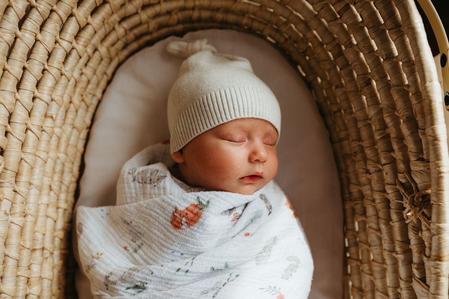 Families - Daniel Milligan Photography