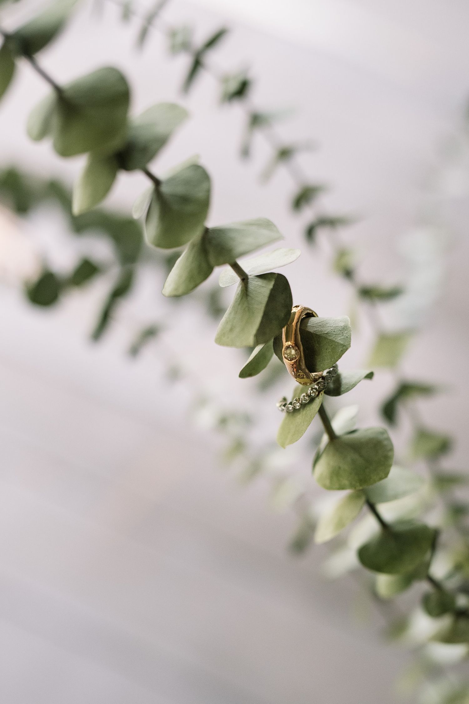 Jade & Dexter - Phoebe Powell Photography