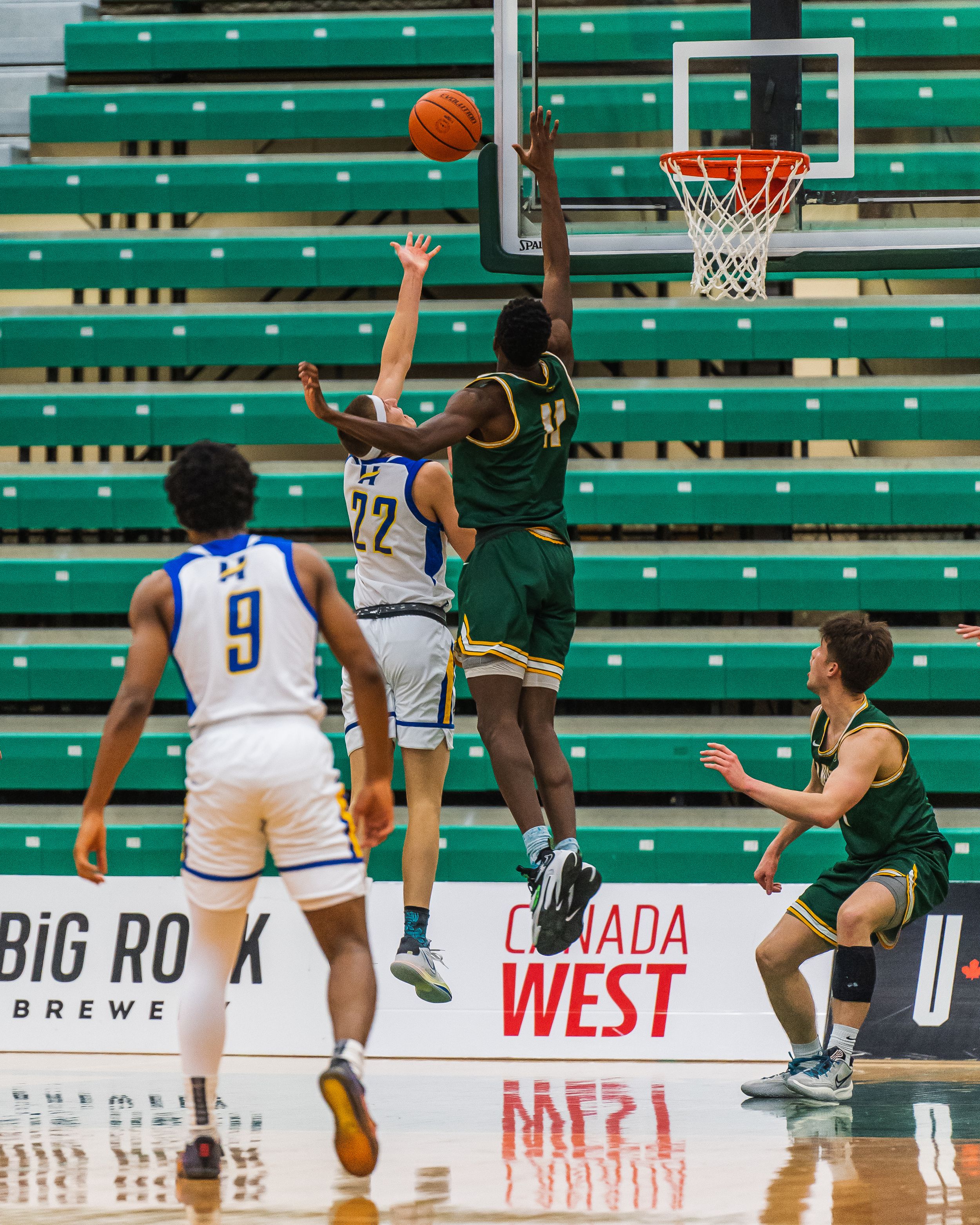 Golden Bears Basketball | University Of Alberta - Chase Studios ...
