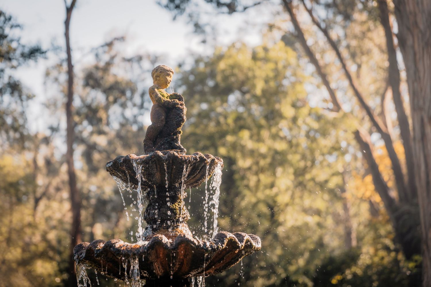 Amanda Ben Melbourne Photographer Weddings Portraits Birthdays