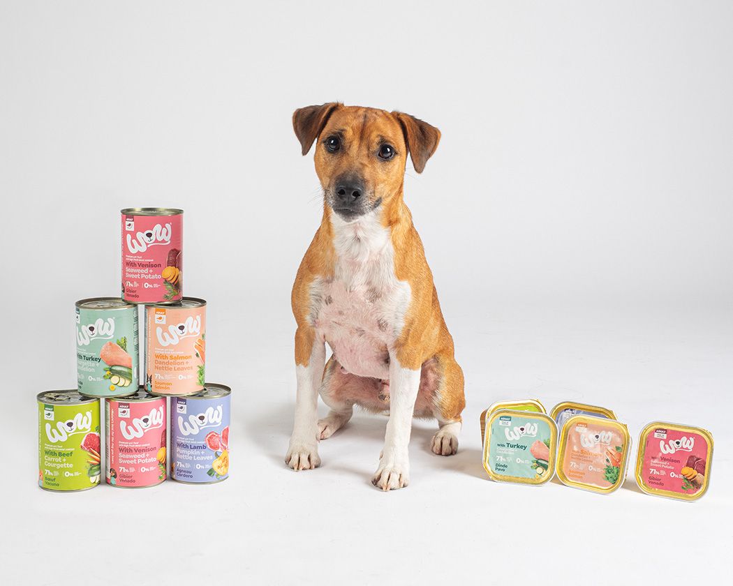 Wow Pet Food - You and the Dog London dog photographer