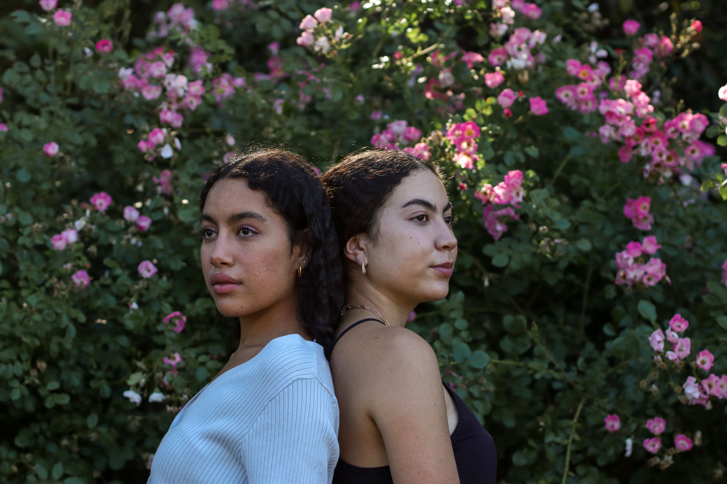 Portland Oregon's International Rose Test Garden - Emma K Photo: Oregon ...