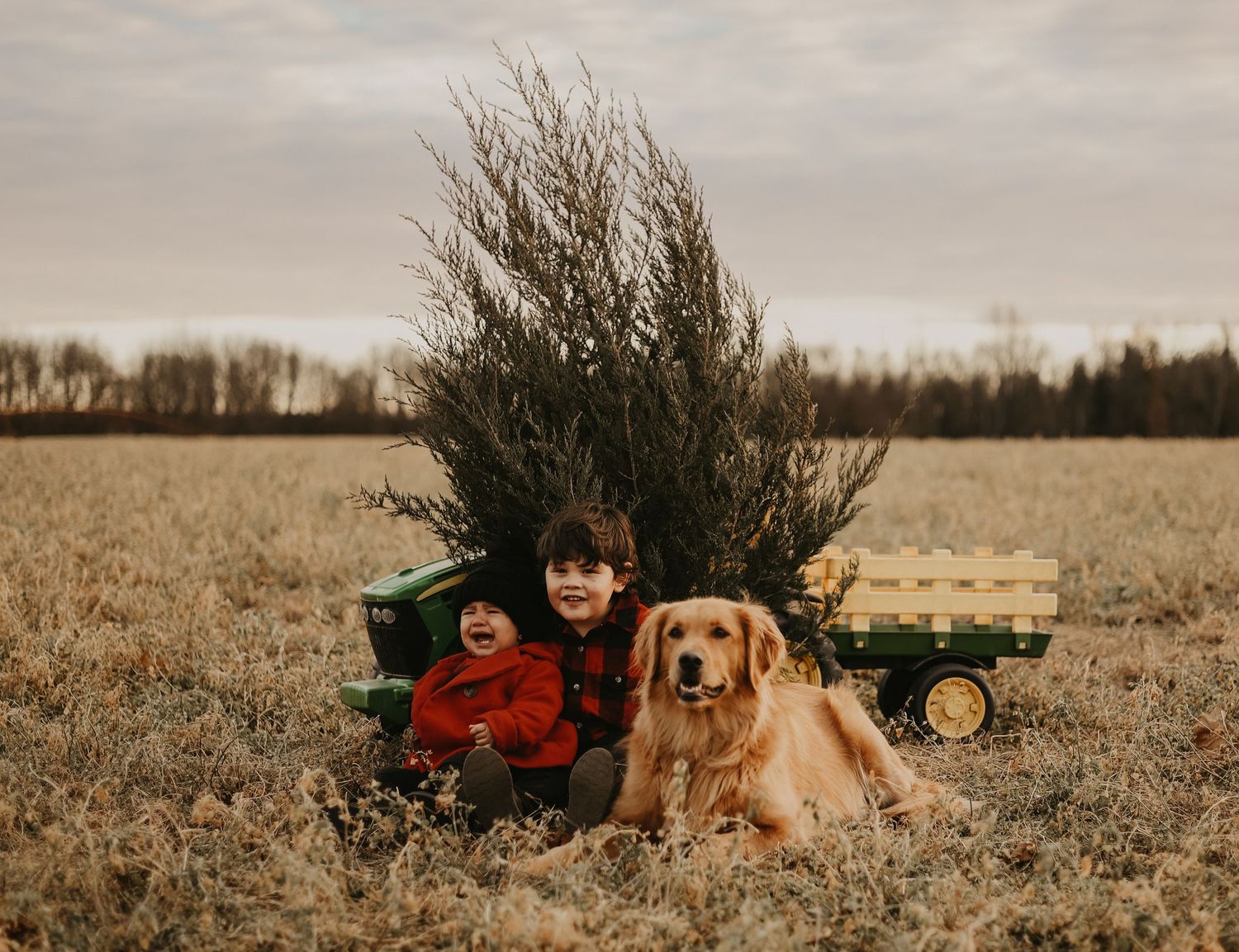 Photography by Liz Aura