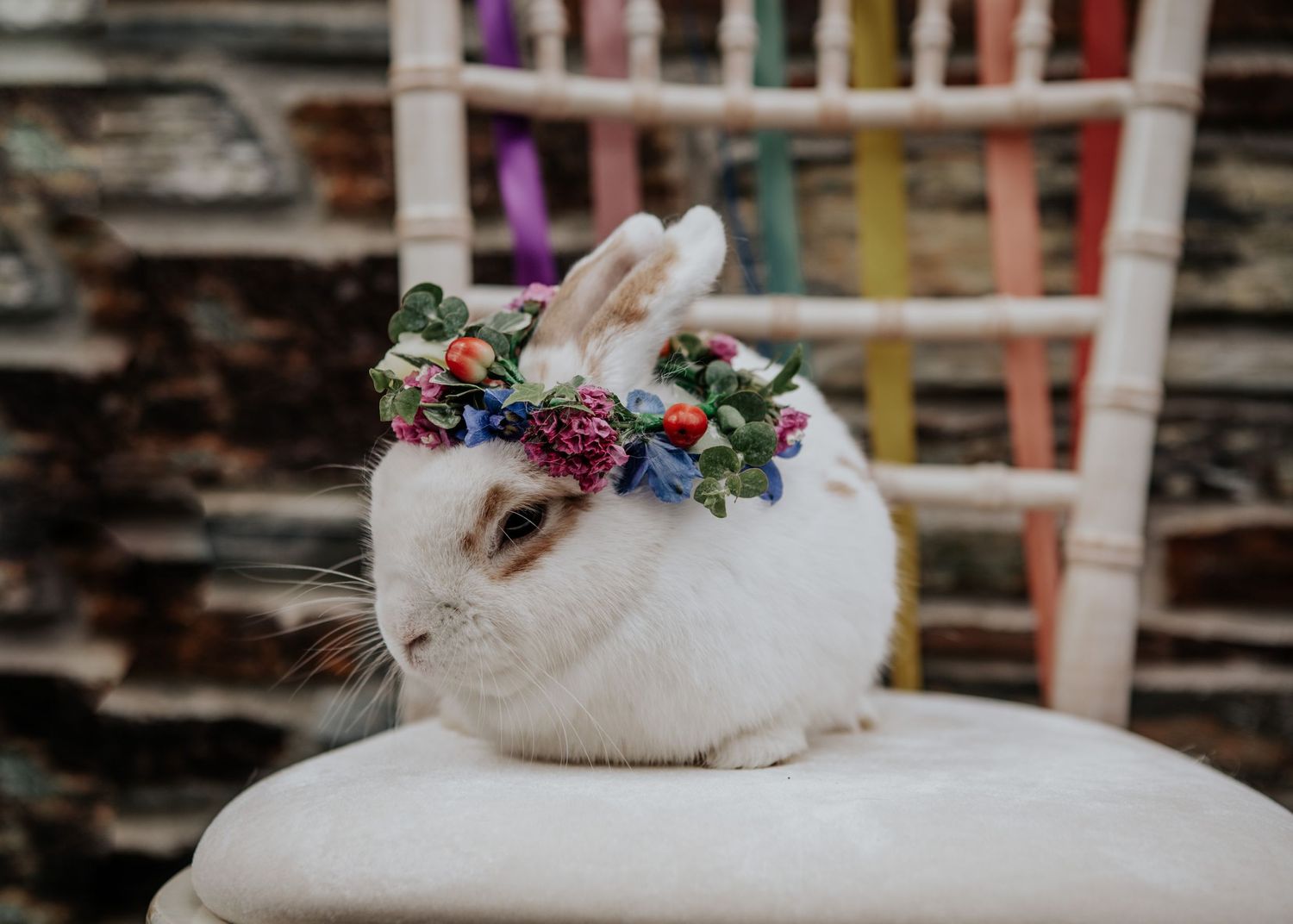 All Things Bright & Beautiful - Rabbit House Studio Photography
