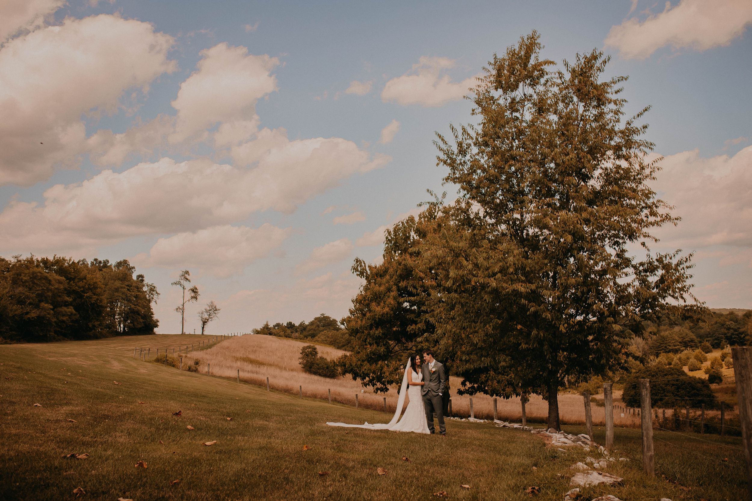 Virginia Lewis Photography