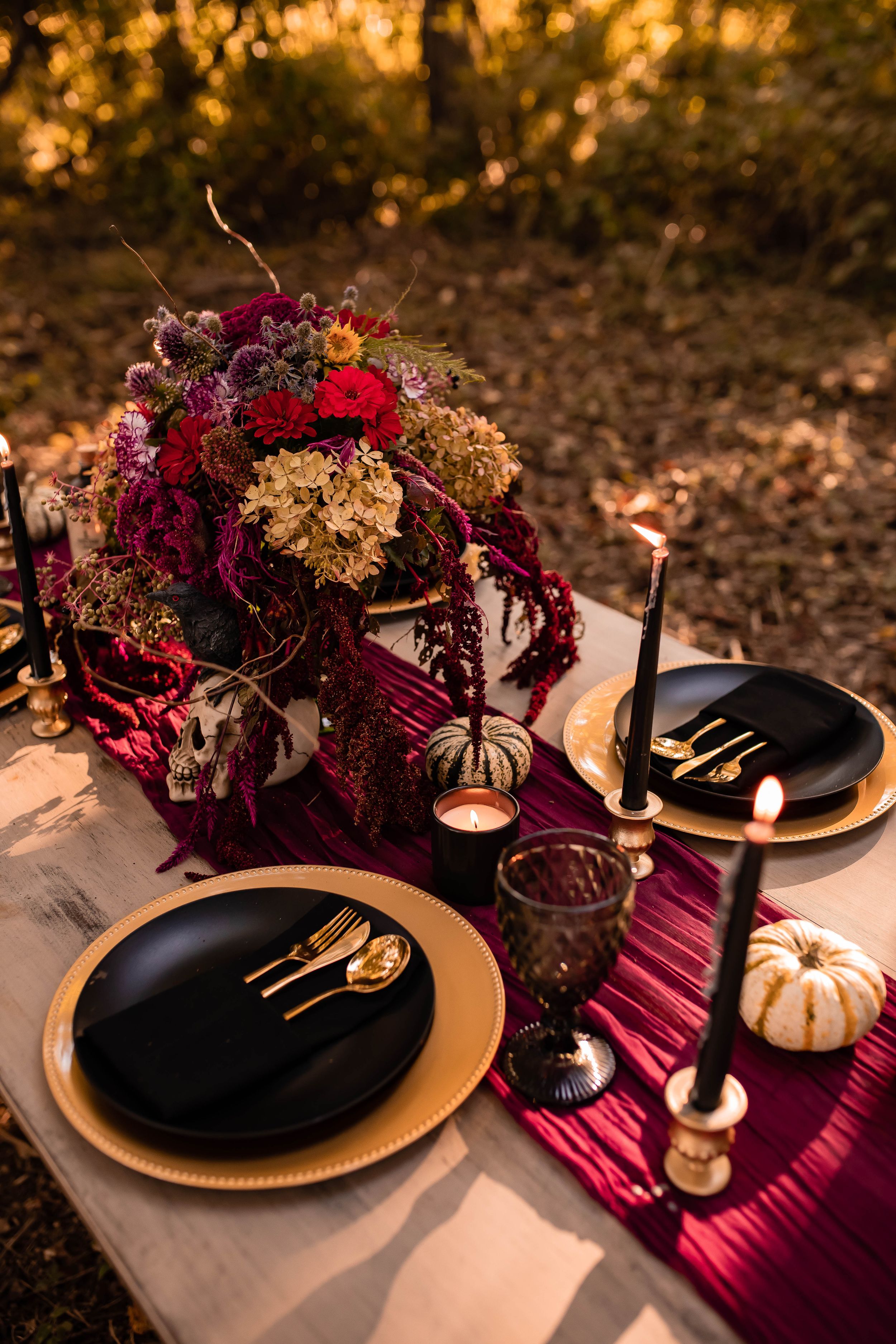 Virginia Lewis Photography