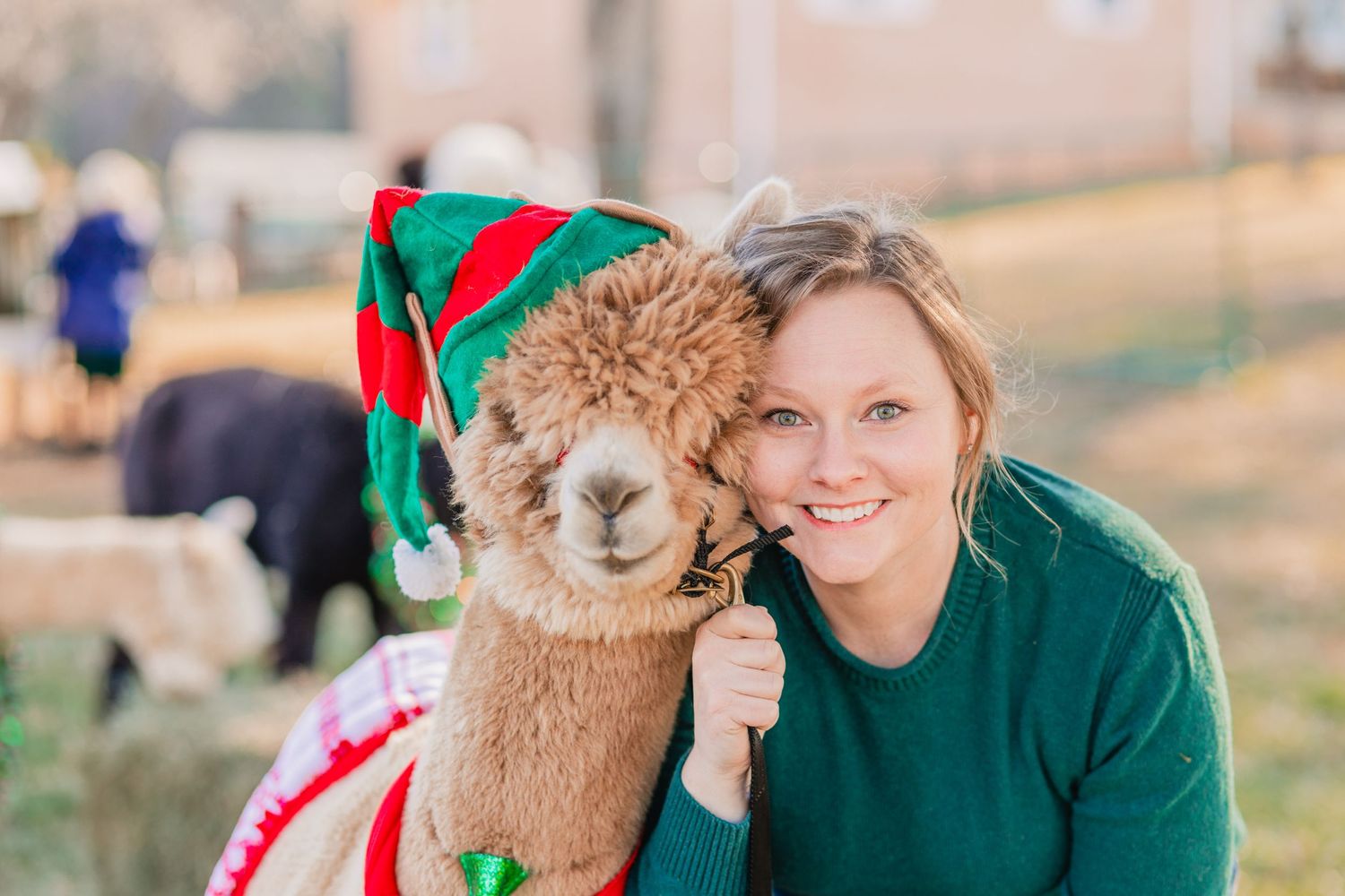 About - Elizabeth Whitley Photography