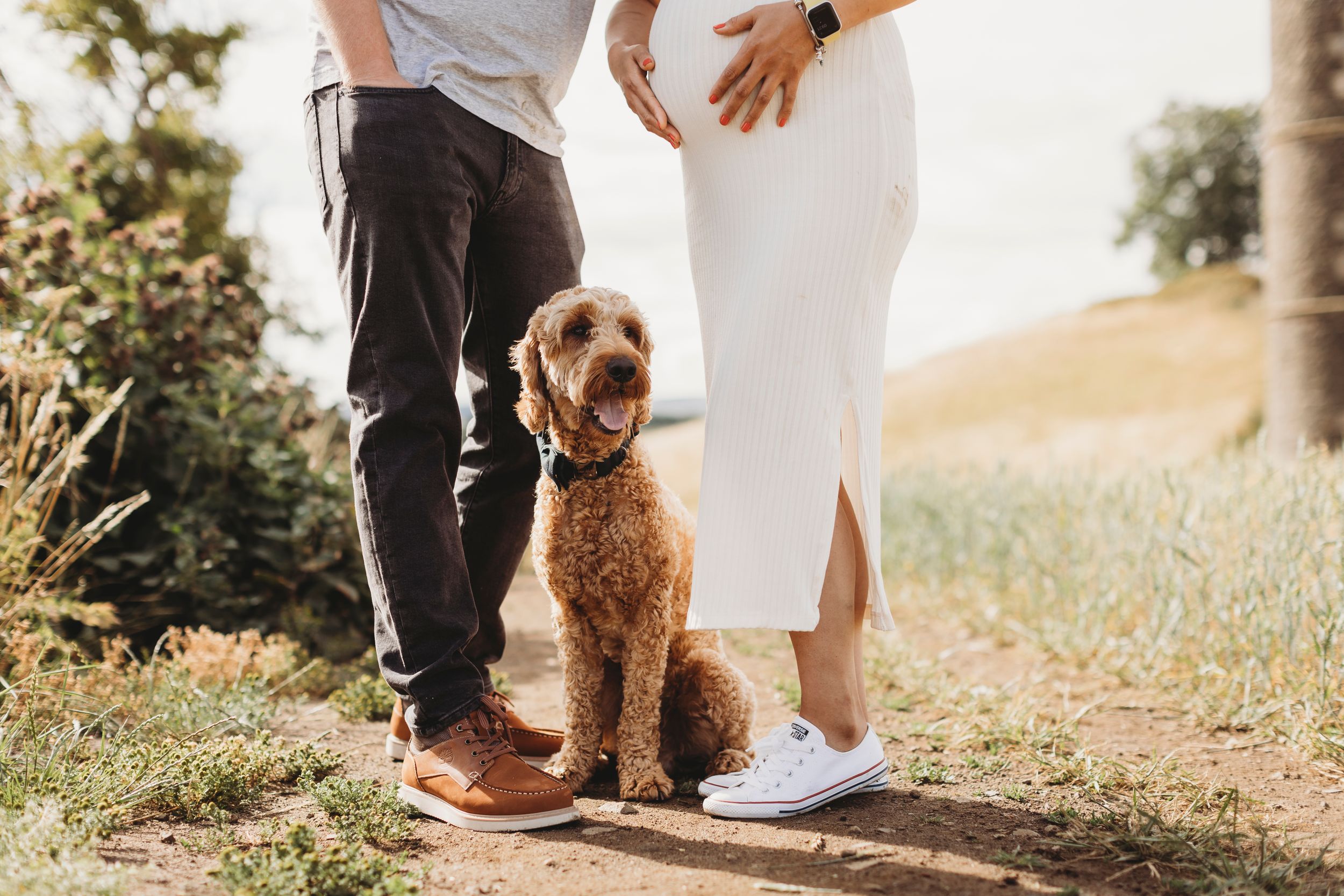 A Guide to Outdoor Maternity Photoshoots with Dogs | Edinburgh Maternity Photographer ...