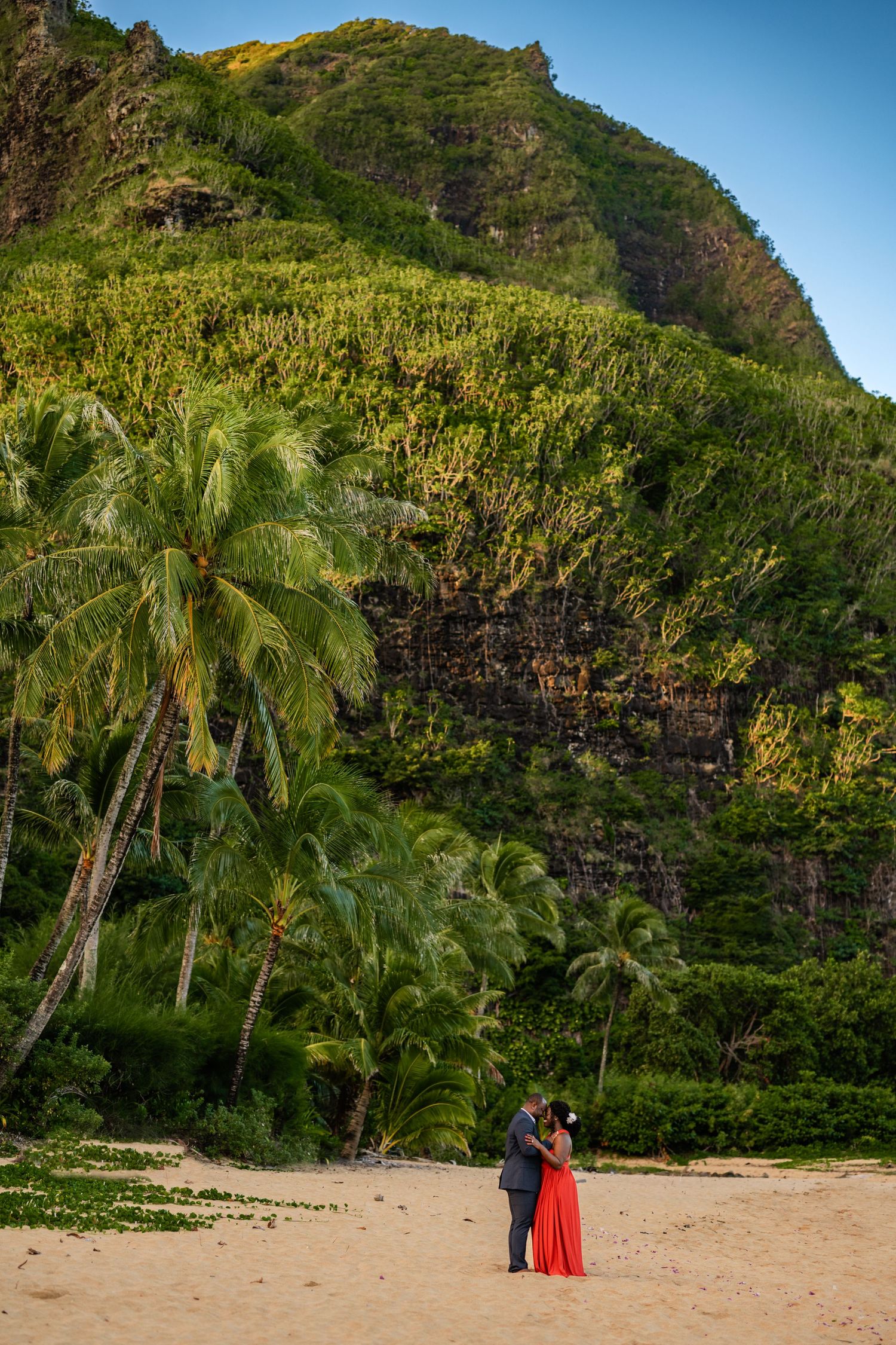 Little Island Photographer - Kauai Photography