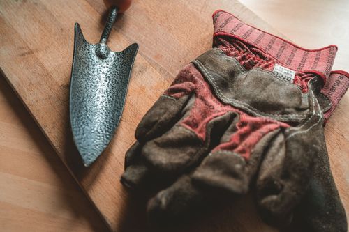 Foraging Equipment Essentials - The Grizzly Forager: The Definitive ...