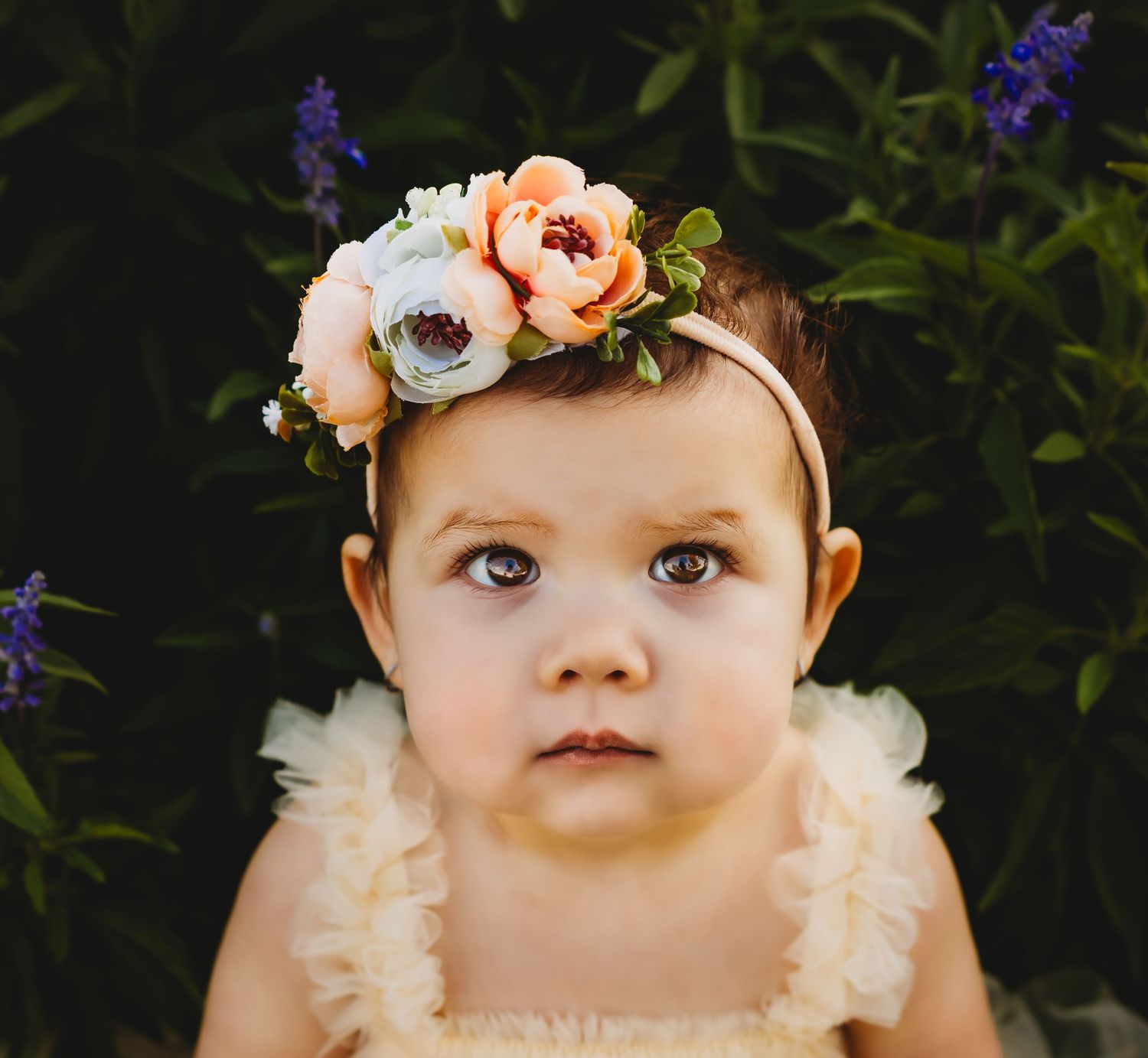 Transcending Roots Photography LLC