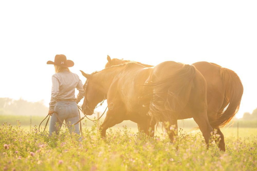 Charis Colson Photography